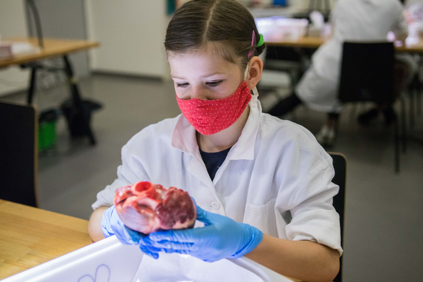 Pitva srdce / VIDA! Brno